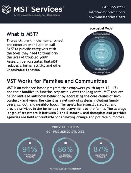 Juvenile Delinquency Prevention Stakeholders | MST Services