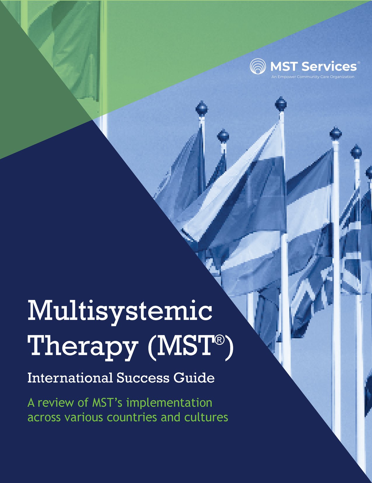 Evidence-based Reports and Research | MST Services