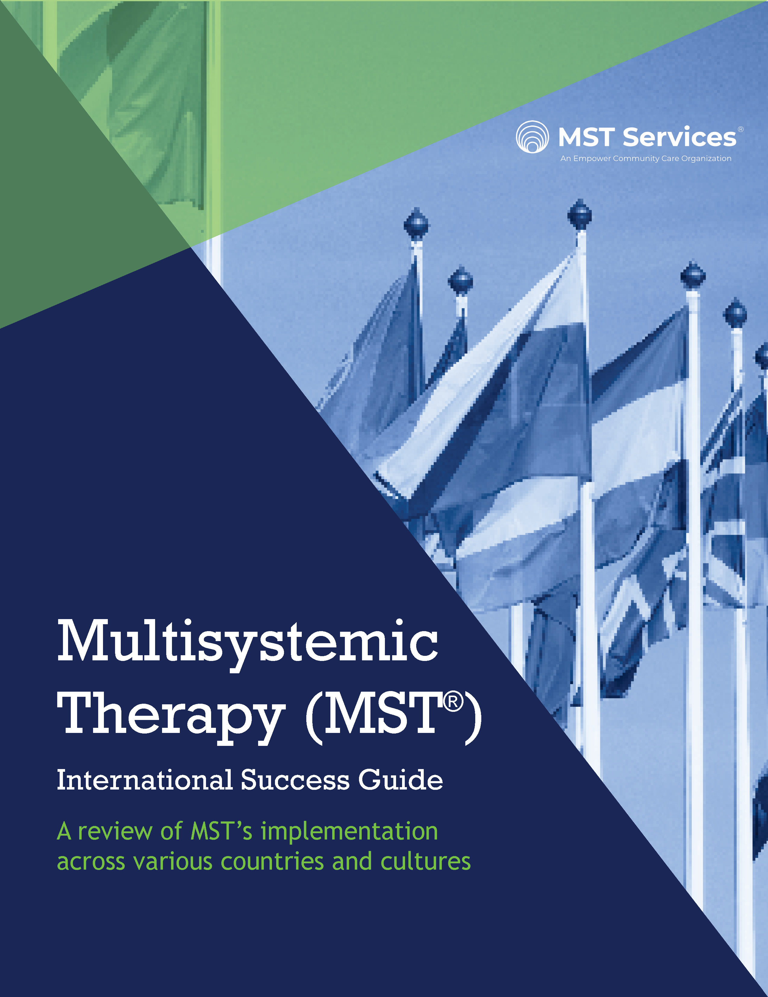 Evidence-based Reports and Research | MST Services