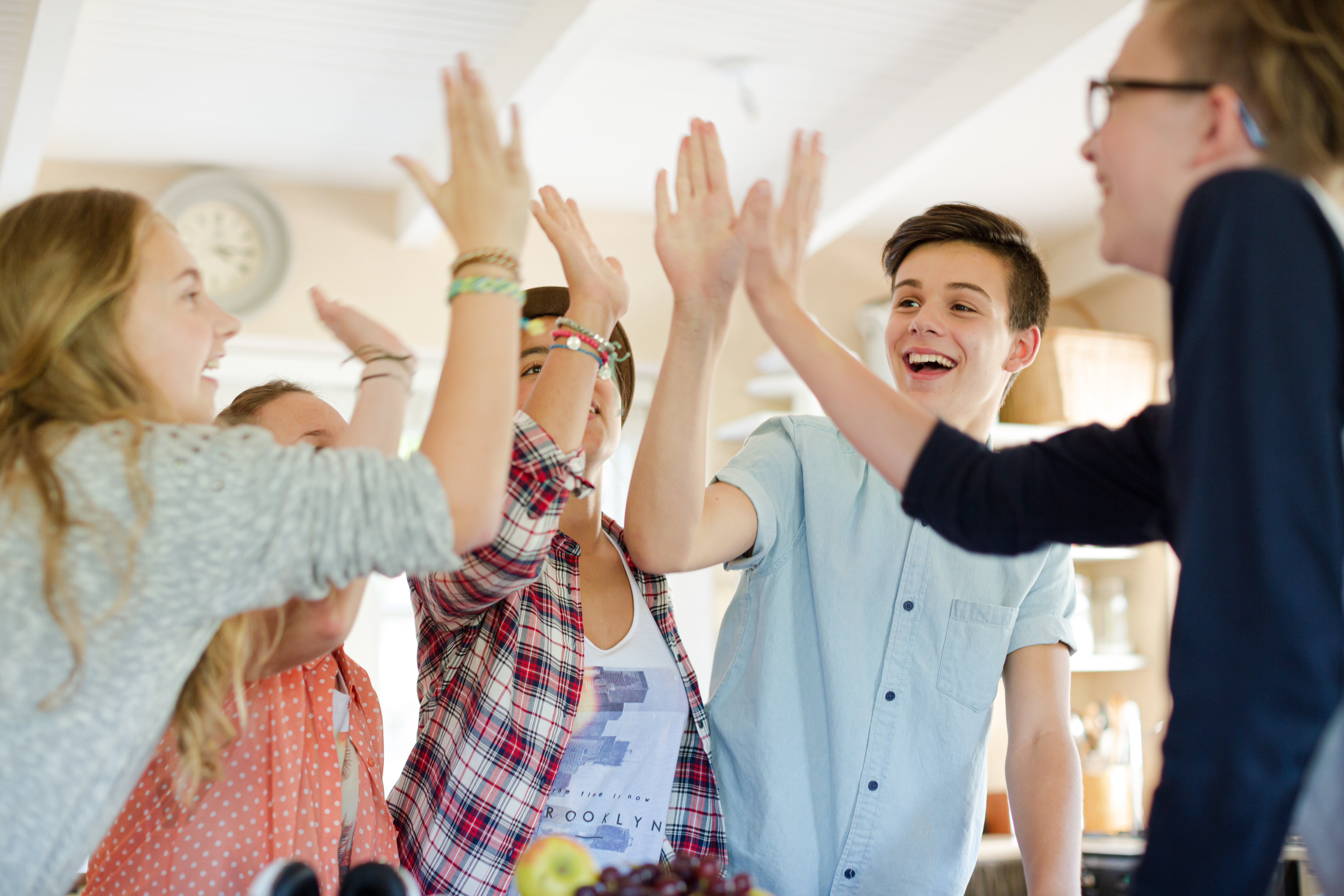 Start a Multisystemic Therapy Program | MST Services